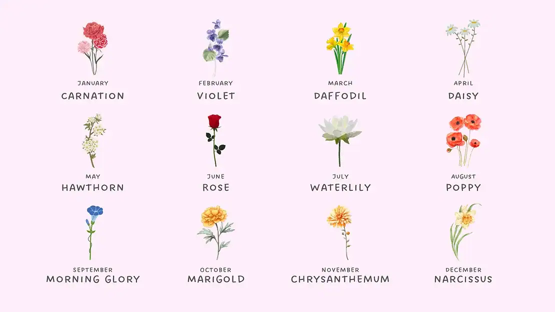 Birth Flowers and Their Symbolism | Archtene